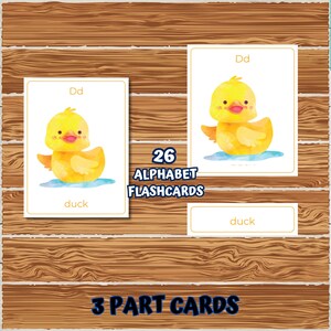 26 Alphabet Flash Cards, Learn ABC, ABC Flash Cards, A to Z Cards ...