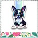 Boston Terrier Sticker Pack 27 Stickers Included Decal Sticker Boston ...