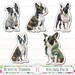 Boston Terrier Sticker Pack | 27 Stickers Included | Decal | Sticker ...