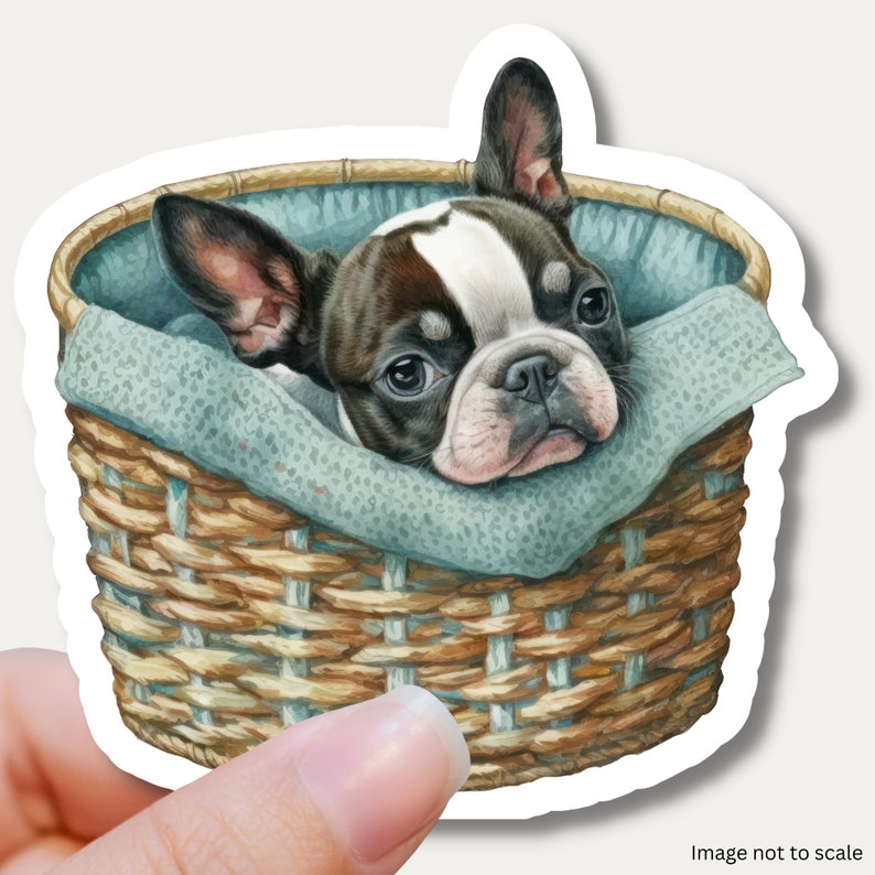 Boston Terrier Sticker Pack 15 Stickers Included Decal Sticker Boston ...