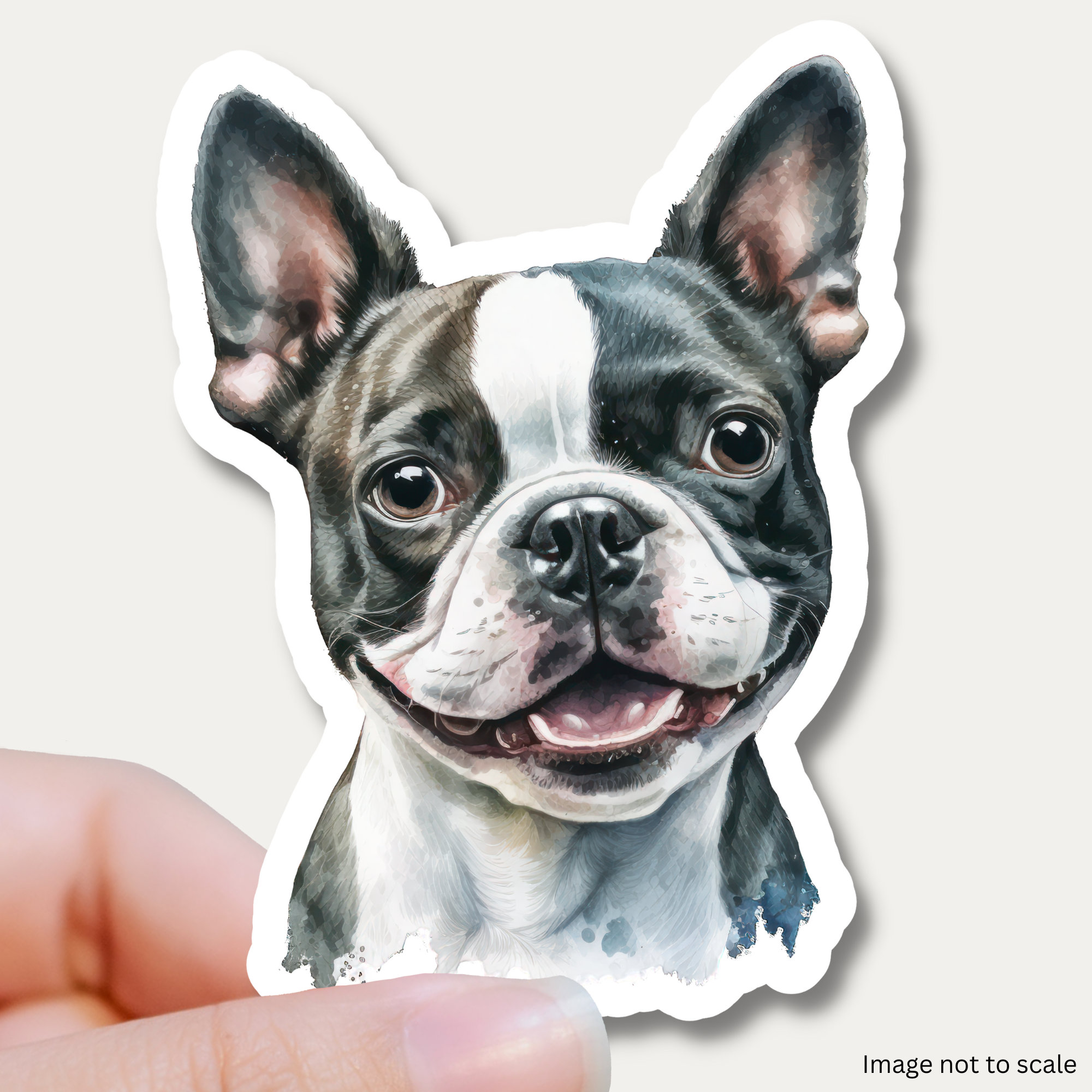 Boston Terrier Sticker Pack 15 Stickers Included Decal Sticker Boston ...
