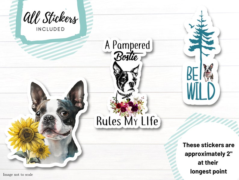 Boston Terrier Sticker Pack 29 Stickers Included Decal Sticker Boston ...