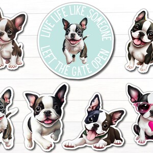 Playful Boston Terriers Sticker Pack | Decal | Sticker | Boston Terrier ...
