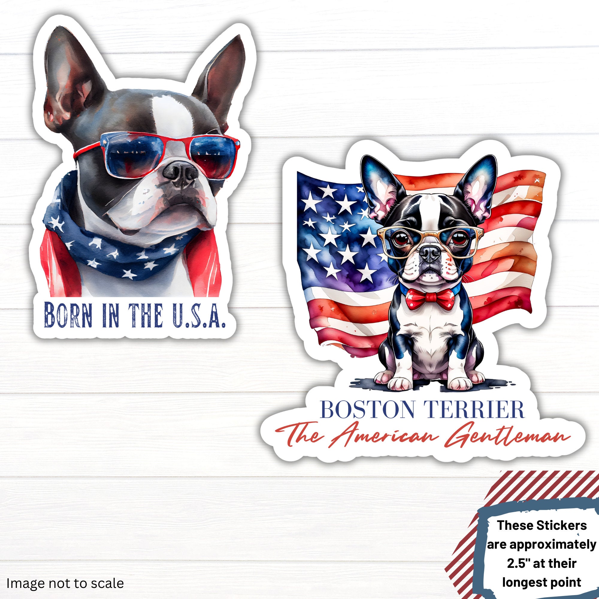 The American Boston Terrier Sticker Pack 21 Stickers Included Decal ...