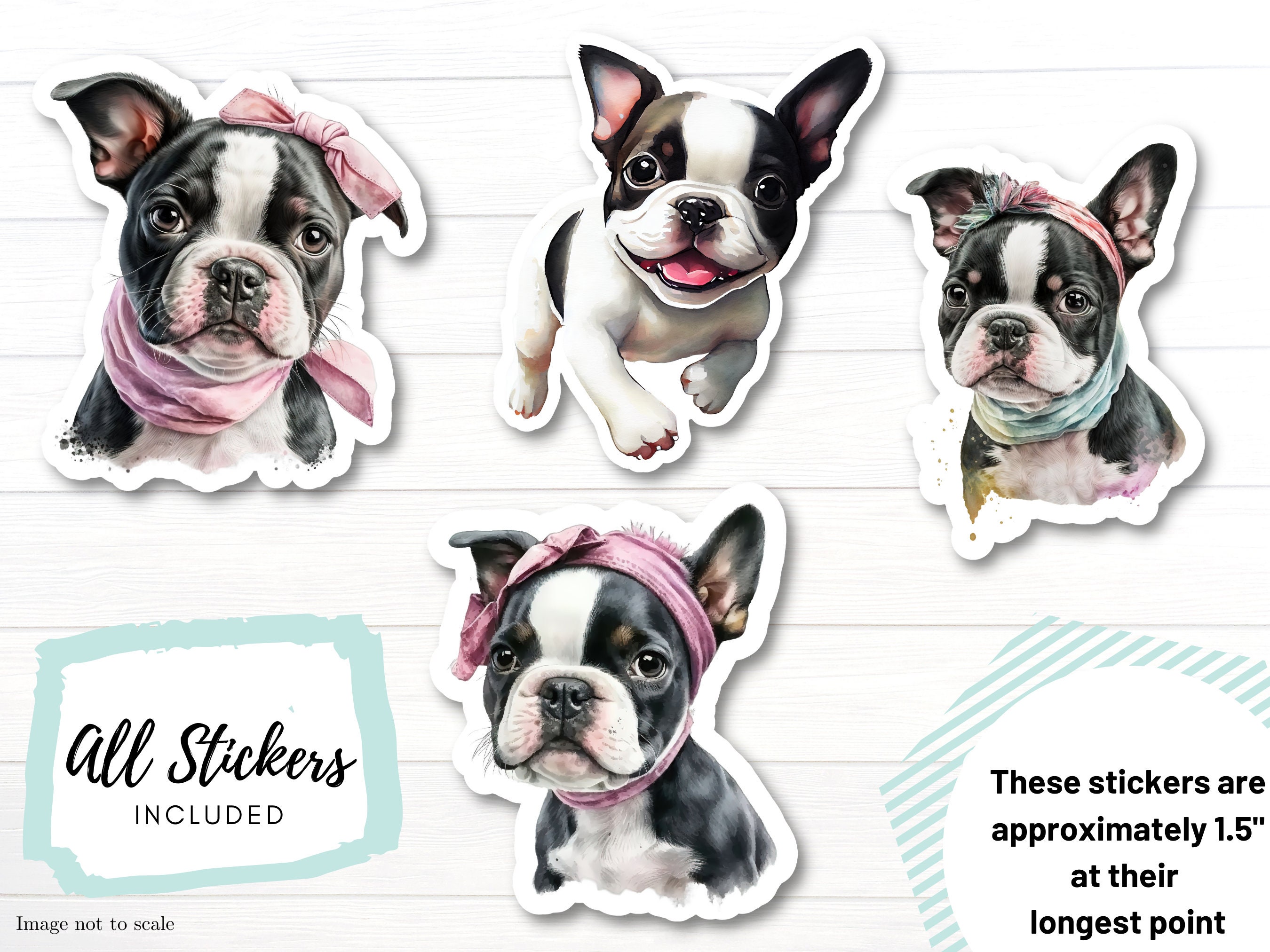 Boston Terrier Sticker Pack 27 Stickers Included Decal Sticker Boston ...