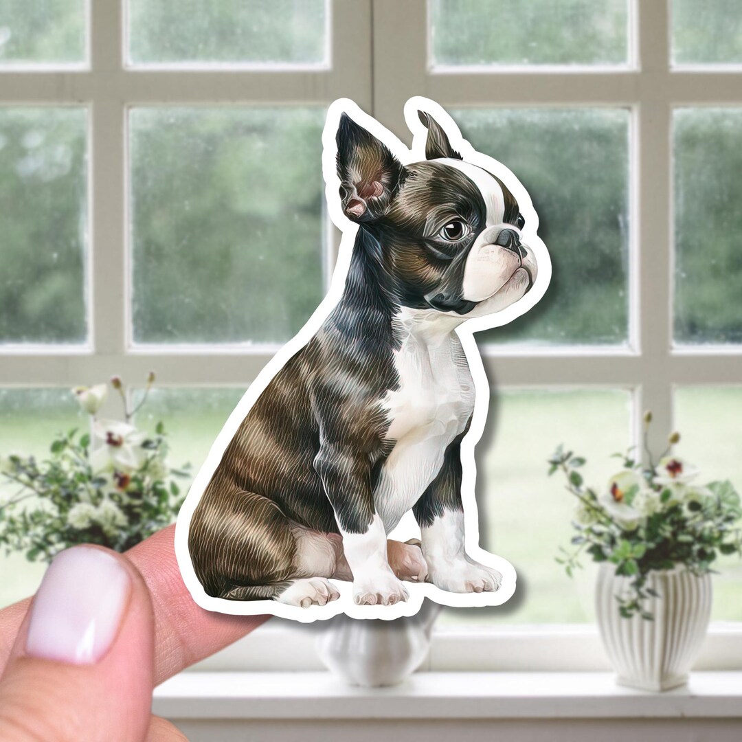 Boston Terrier Sticker Decal Sticker Boston Terrier Decal Vinyl Sticker ...
