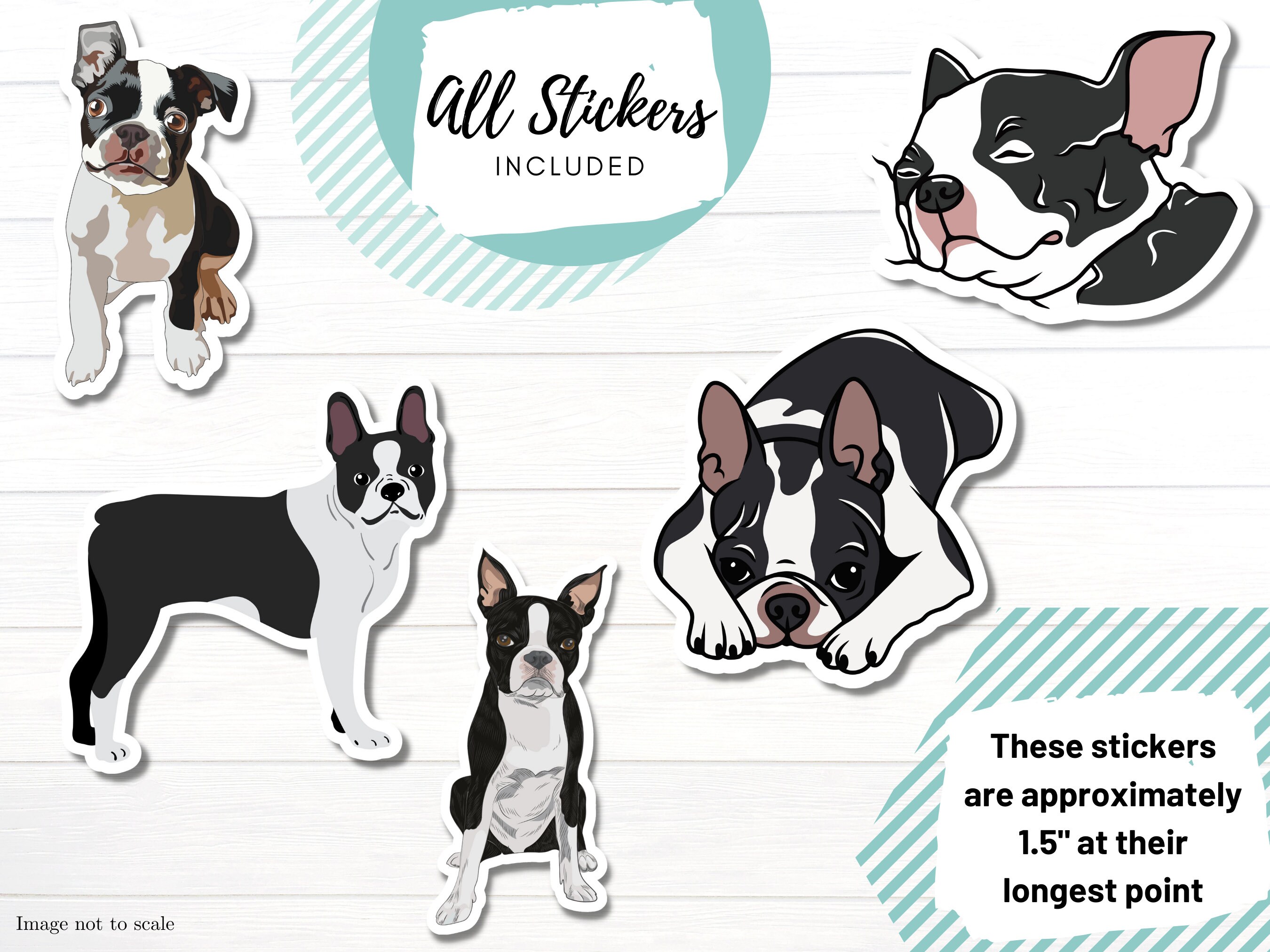 Boston Terrier Sticker Pack 27 Stickers Included Decal Sticker Boston ...