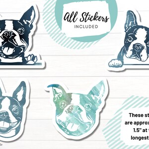 Boston Terrier Sticker Pack | 27 Stickers Included | Decal | Sticker ...