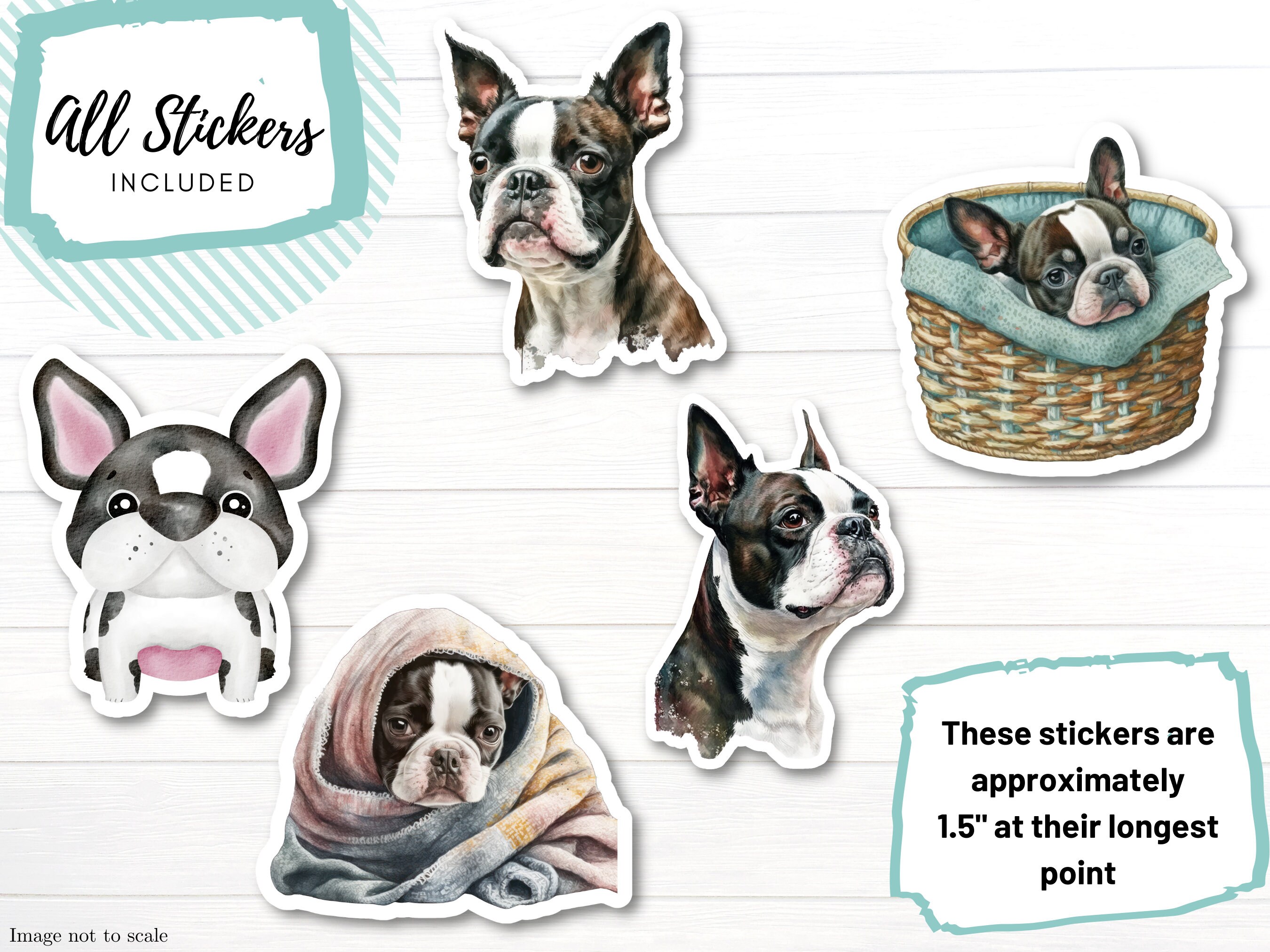 Boston Terrier Sticker Pack 29 Stickers Included Decal Sticker Boston ...