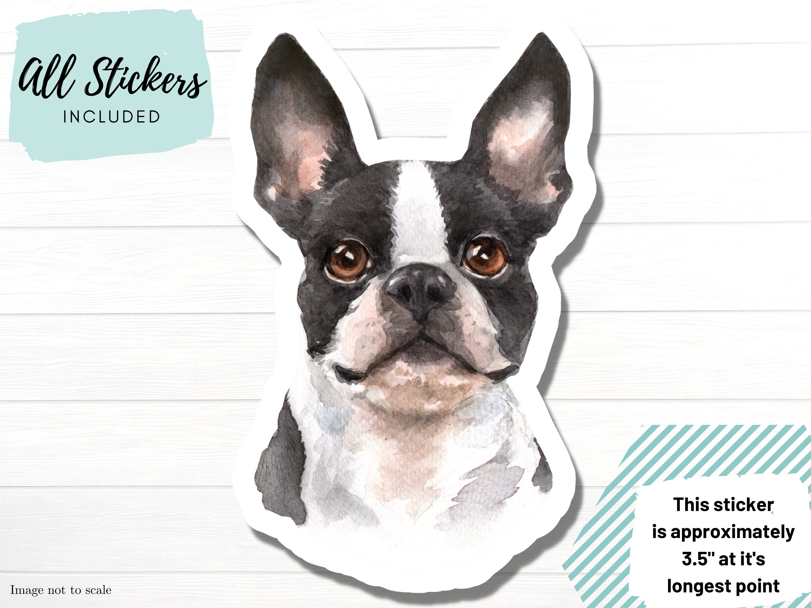 Boston Terrier Sticker Pack 27 Stickers Included Decal Sticker Boston ...