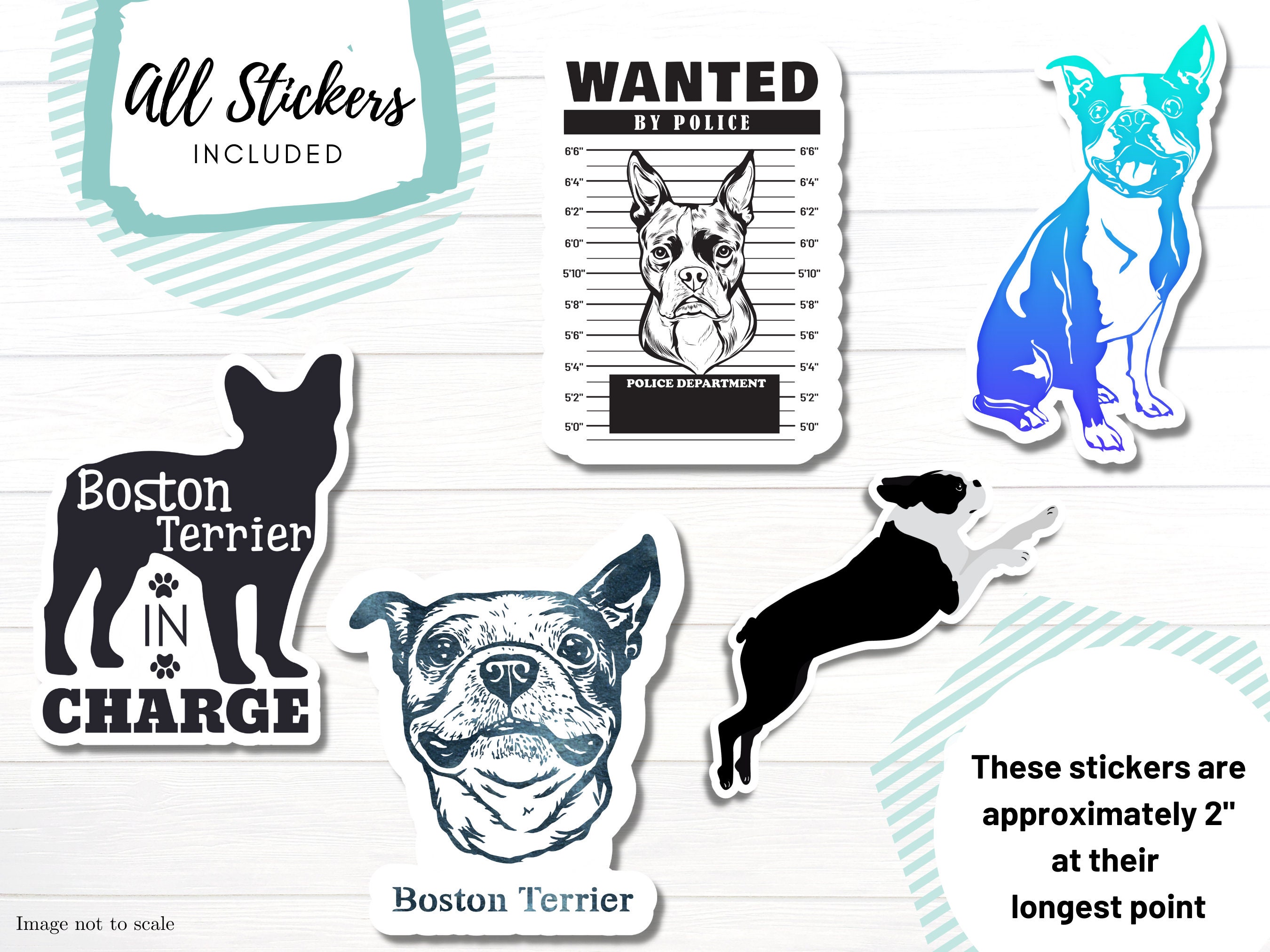 Boston Terrier Sticker Pack 27 Stickers Included Decal Sticker Boston ...