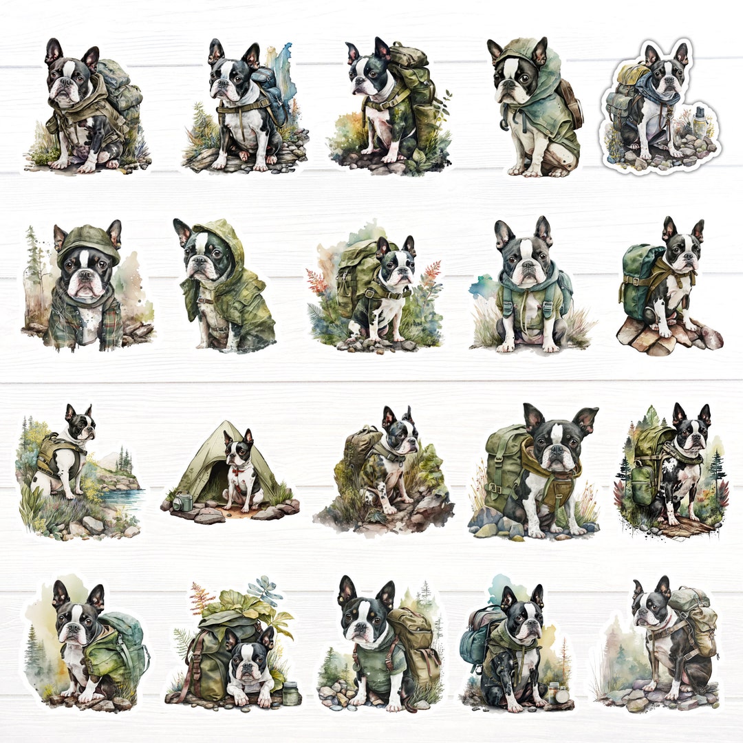Nature Boston Terrier Sticker Pack 20 Stickers Included - Etsy