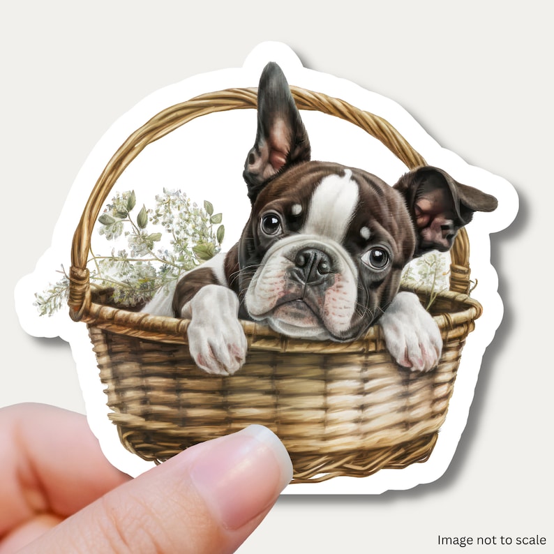 Boston Terrier Sticker Pack 15 Stickers Included Decal Sticker Boston ...