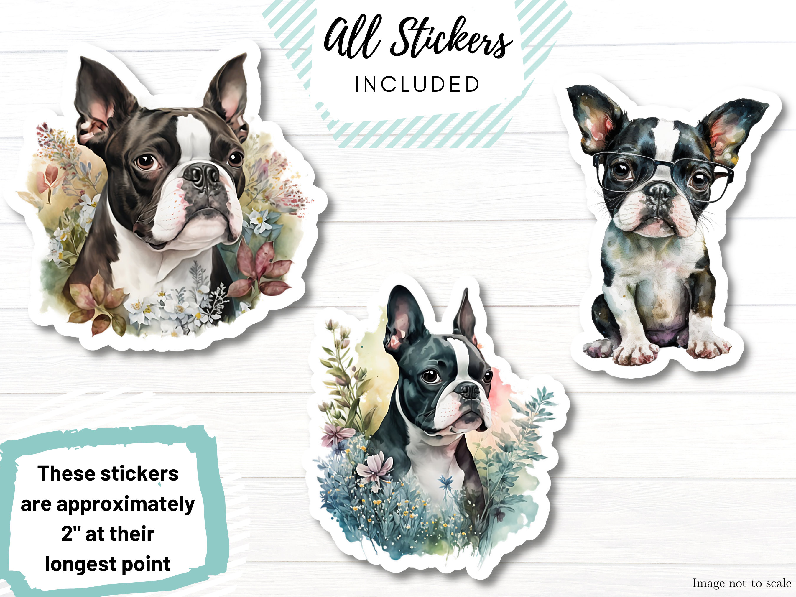 Boston Terrier Sticker Pack 27 Stickers Included Decal Sticker Boston ...