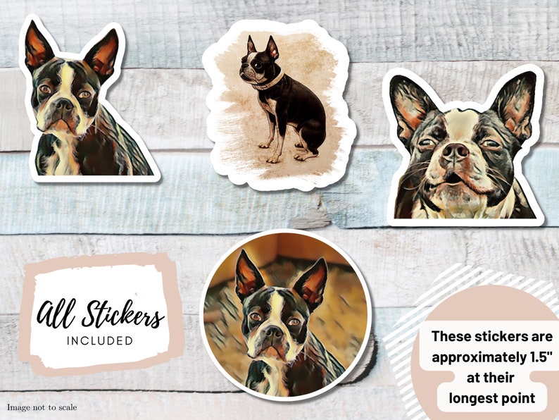 Boston Terrier Sticker Pack 27 Stickers Included Decal - Etsy