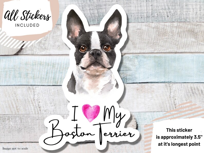 Boston Terrier Sticker Pack 27 Stickers Included Decal - Etsy