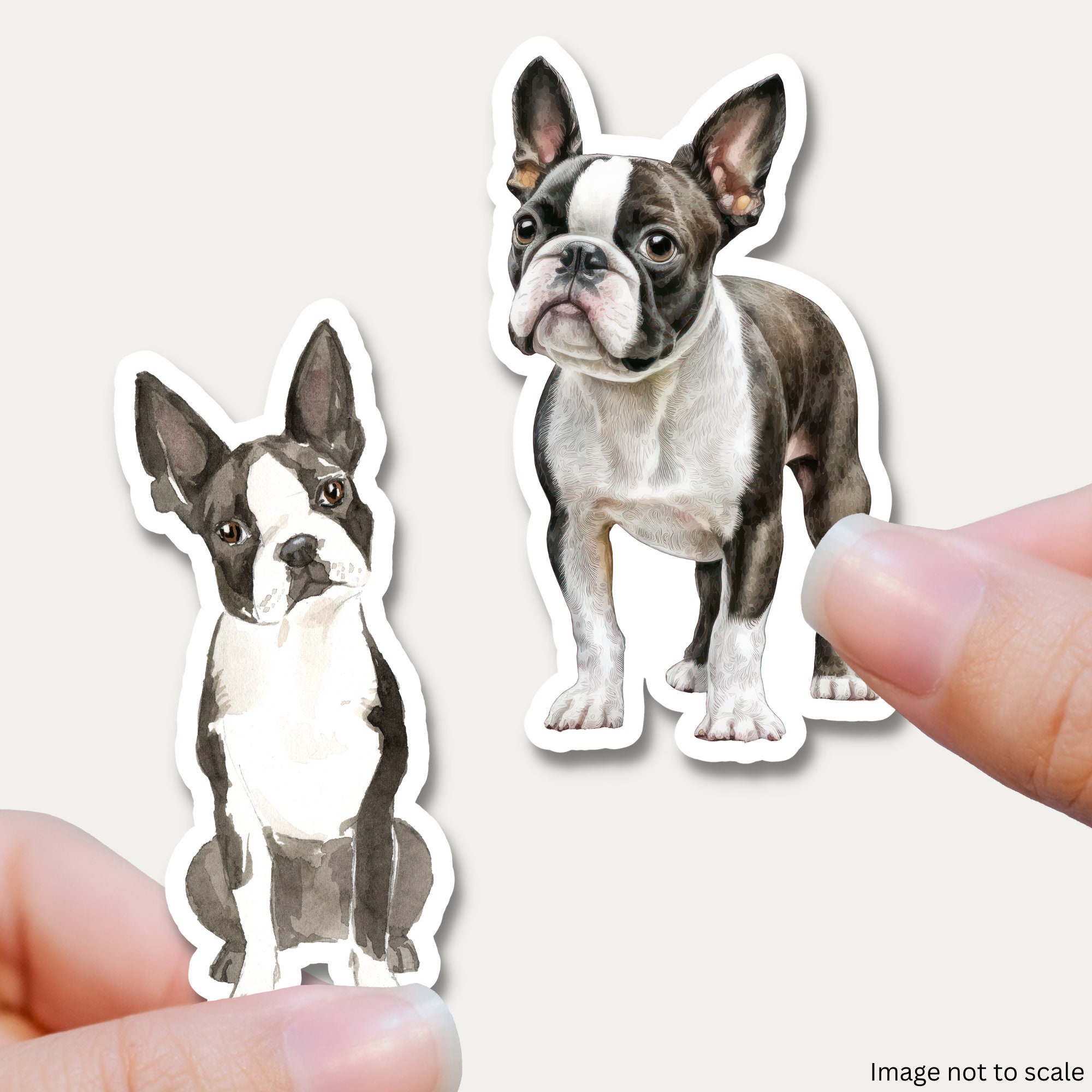 Boston Terrier Sticker Pack 15 Stickers Included Decal Sticker Boston ...