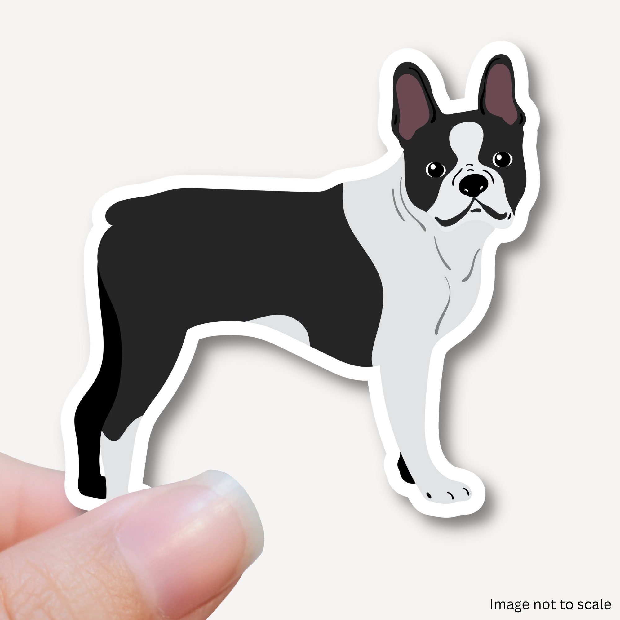 Boston Terrier Sticker Pack Pack of 7 Stickers Decal - Etsy