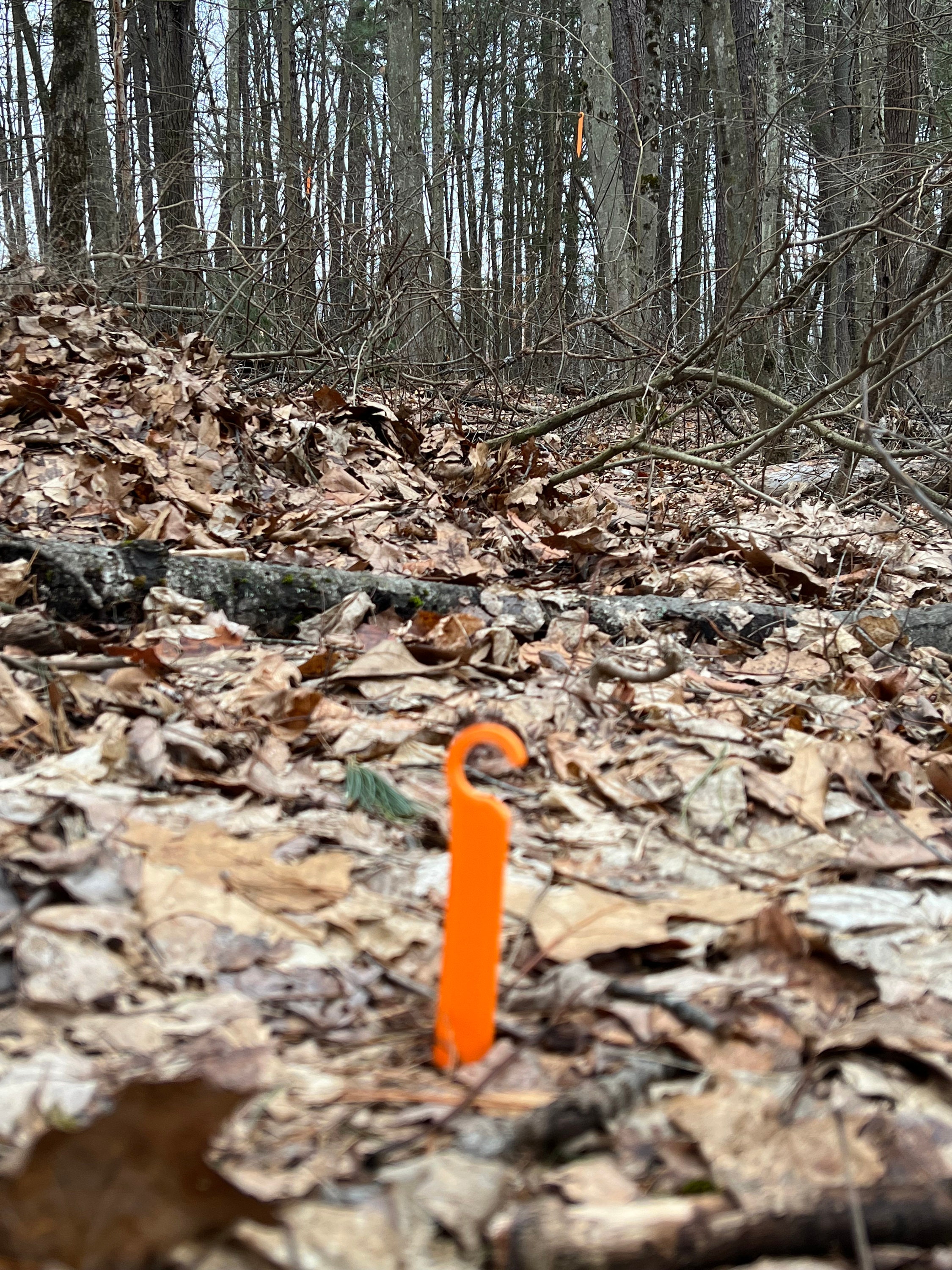 Hunting Stakes | Hunting Markers 6 Pack - Etsy