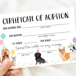 Editable Pet Adoption Certificate Puppy Birthday Adoption - Etsy