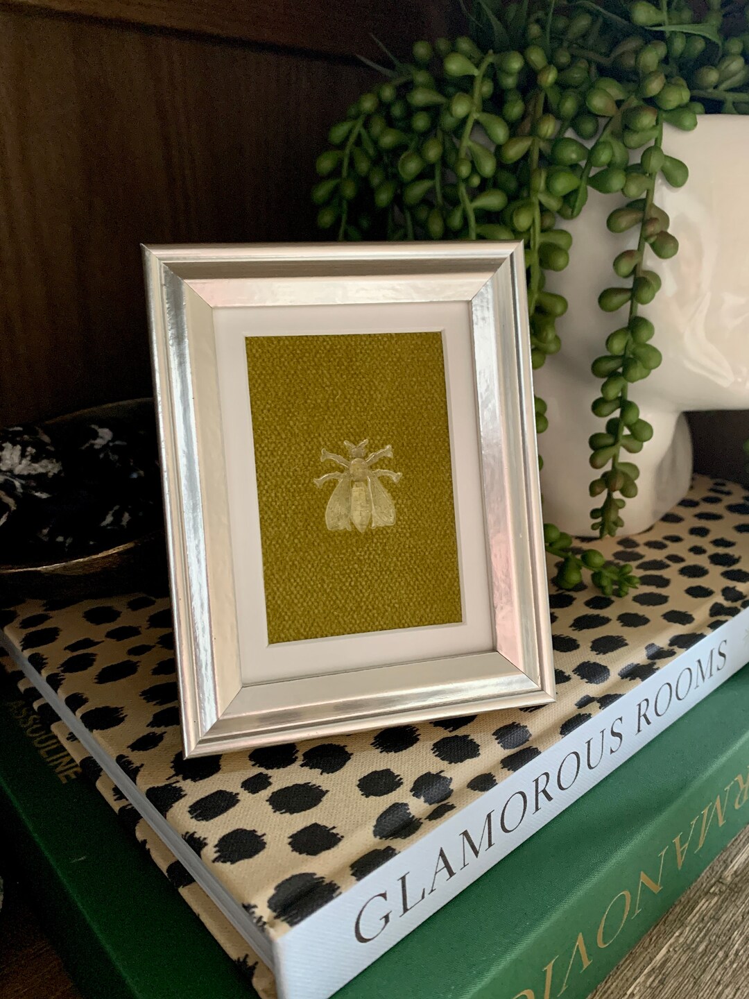 Framed Clear Intaglio Insect - Etsy