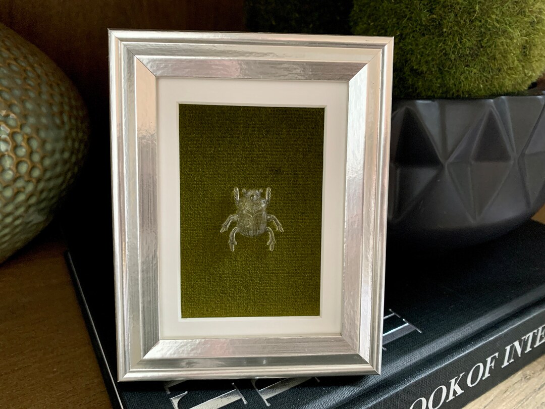 Framed Clear Intaglio Insect - Etsy