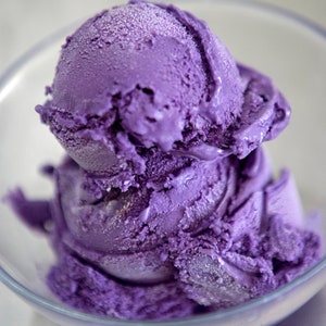 10 Pcs Ube Purple Yam Bulbils for Planting Average Size 1 Inch - Etsy