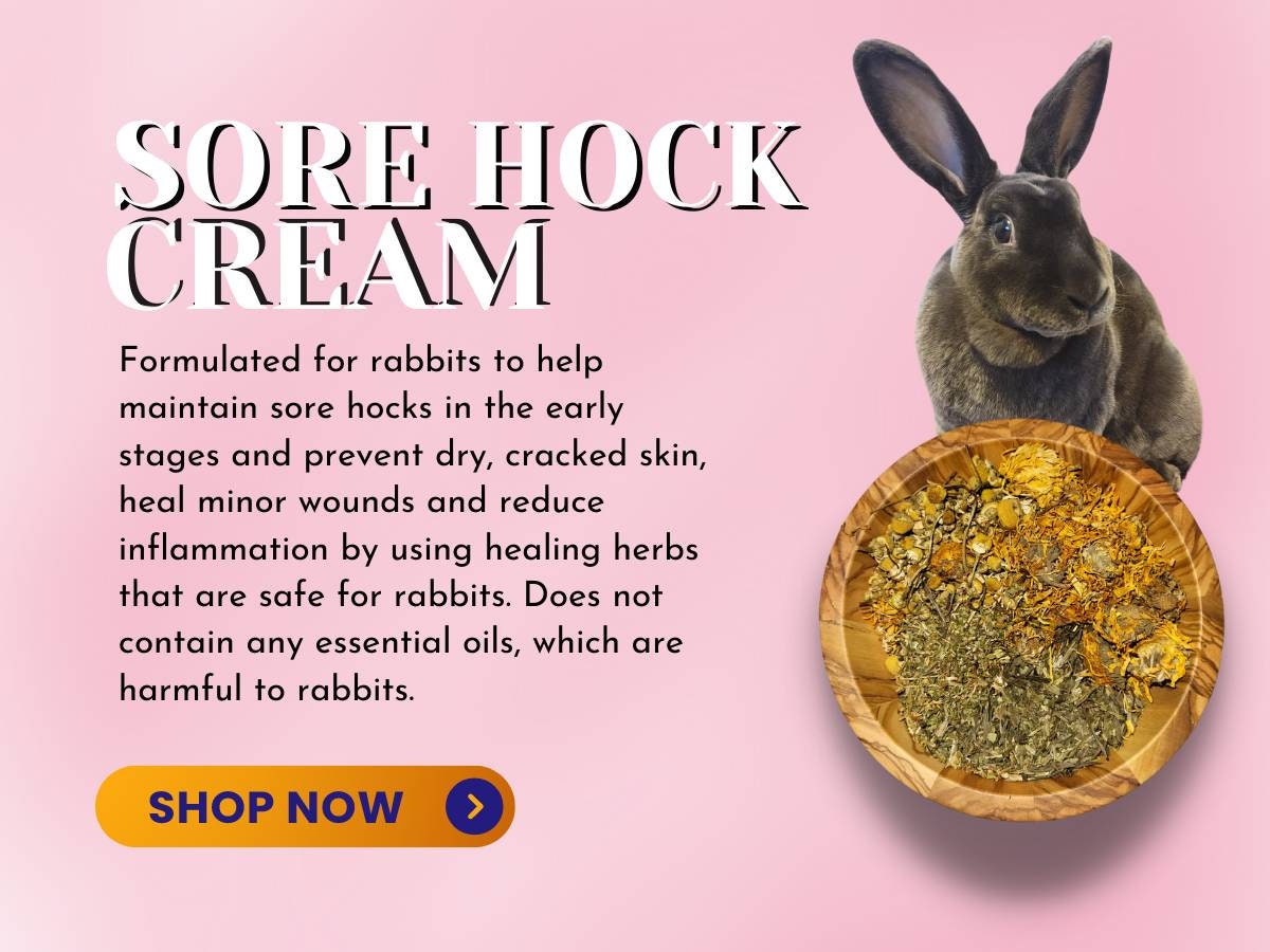 Rabbit Sore Hock Cream to Prevent Dry Cracked Skin Heal - Etsy