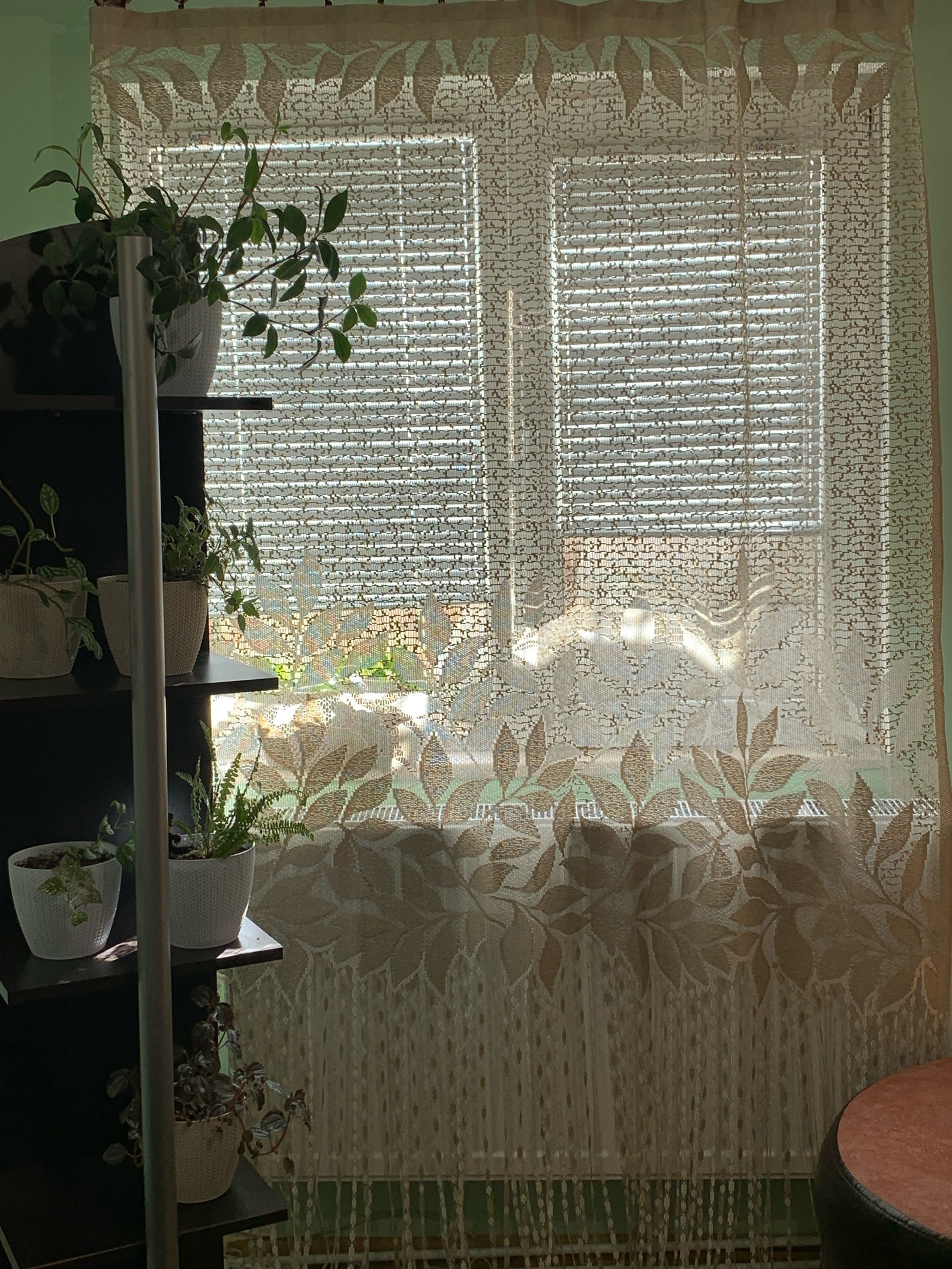 Beautiful Ready to Hang Beige-gold Long Lace Net String Curtain With ...