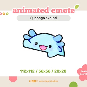 ANIMATED Bongo Axolotl Emote for Twitch and Discord, Animated Twitch ...