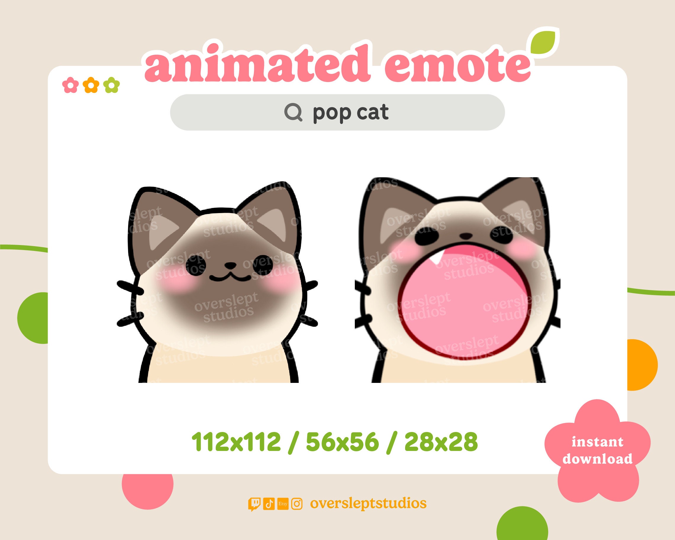 ANIMATED Siamese Pop Cat Emote for Twitch and Discord, Pop Cat Emote ...