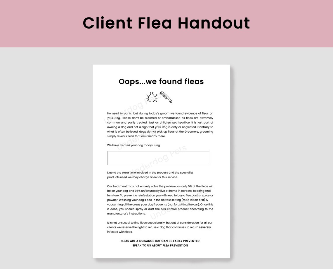 Dog Groomer Flea Handout for Clients | Fleas Found Leaflet | Digital ...