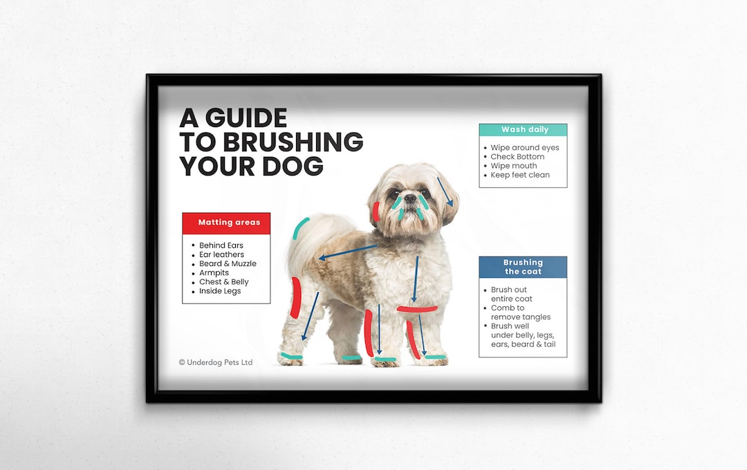 Dog Brushing Areas Poster | Digital Download | Printable Poster | How ...