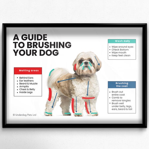 Dog Brushing Areas Poster Digital Download Printable - Etsy