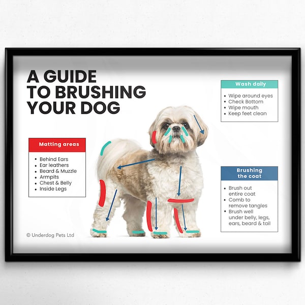 Dog Grooming Poster Template Editable & Customisable Dog Grooming ...