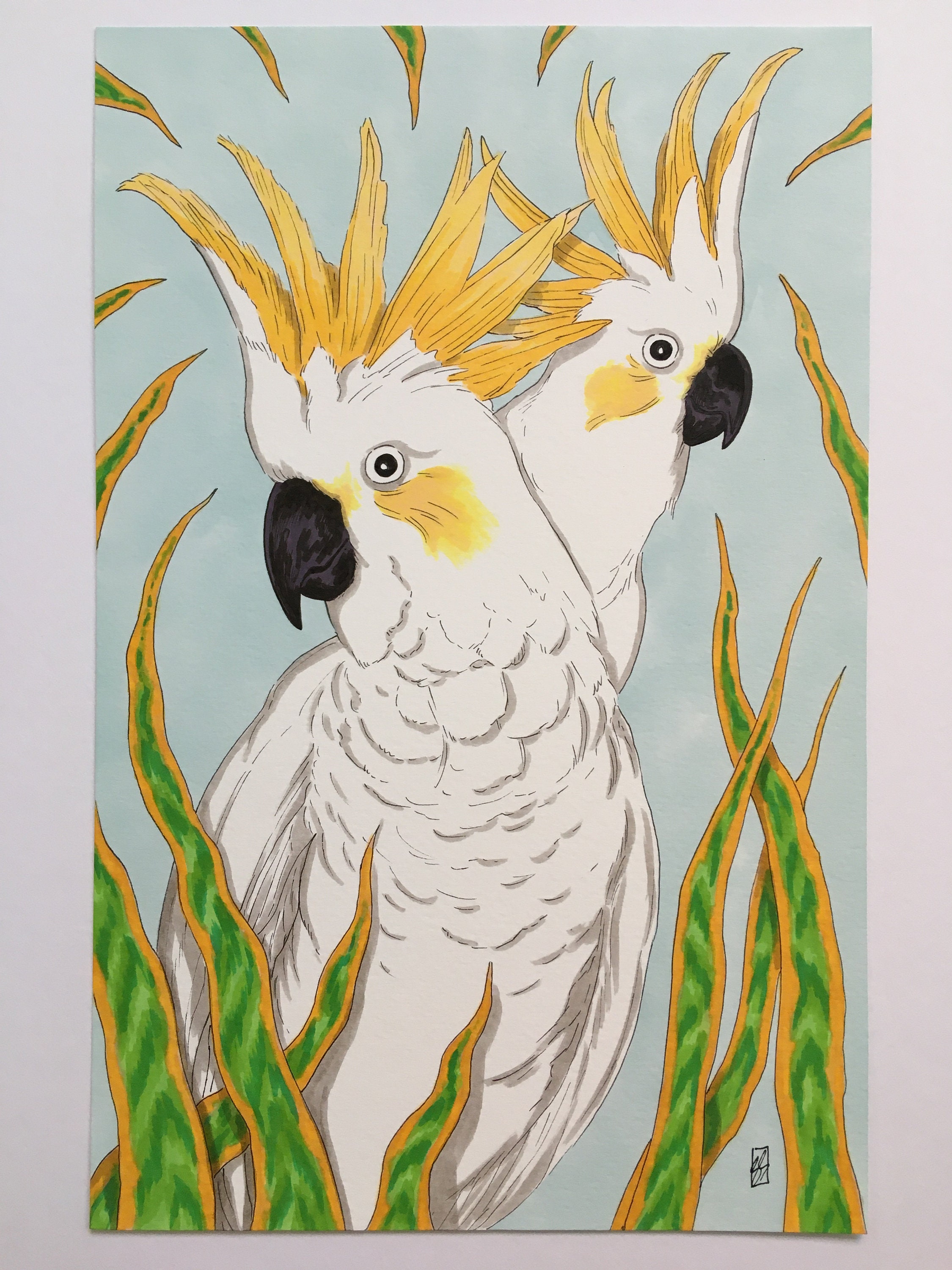 Original Artwork Cockatoos Drawing Bird Art Wildlife Illustration ...