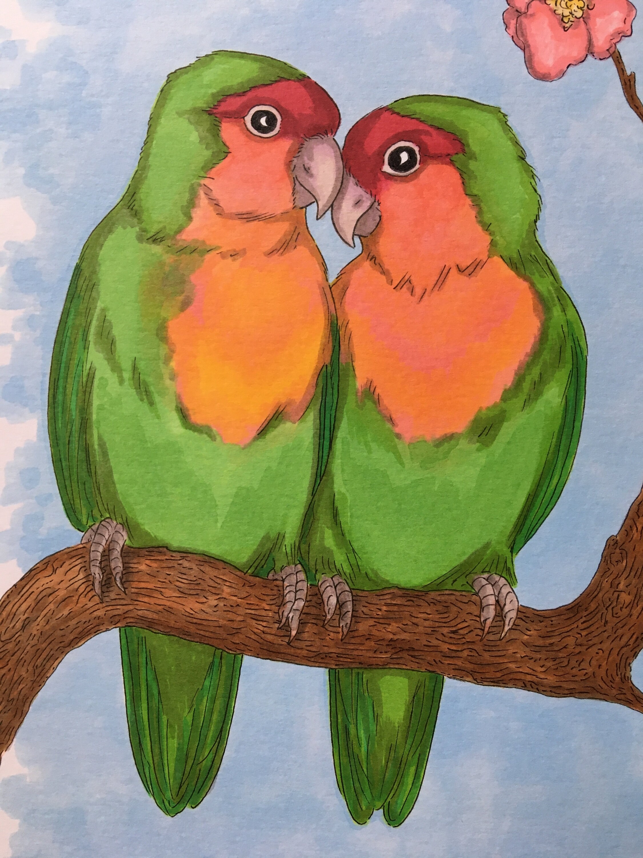Original Artwork Lovebirds Drawing Bird Art Wildlife Illustration ...