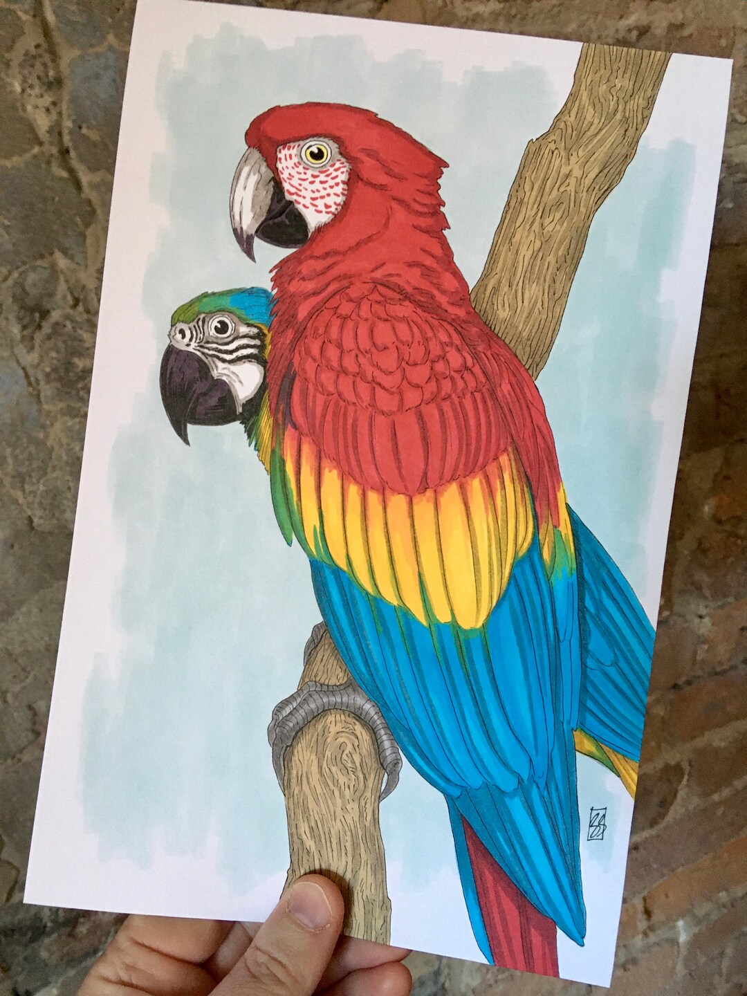 Original Parrots Artwork Drawing Bird Illustration Wildlife Decor 10 X ...