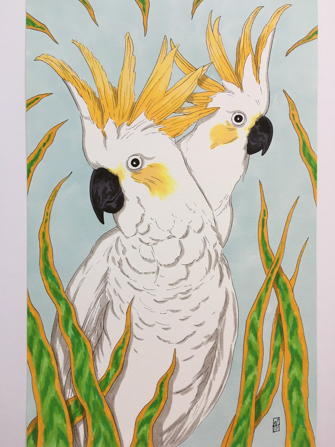 Original Artwork Cockatoos Drawing Bird Art Wildlife Illustration ...