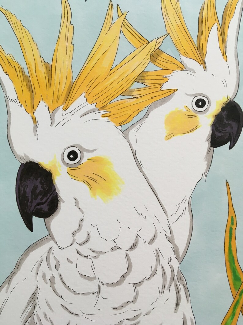 Original Artwork Cockatoos Drawing Bird Art Wildlife Illustration ...