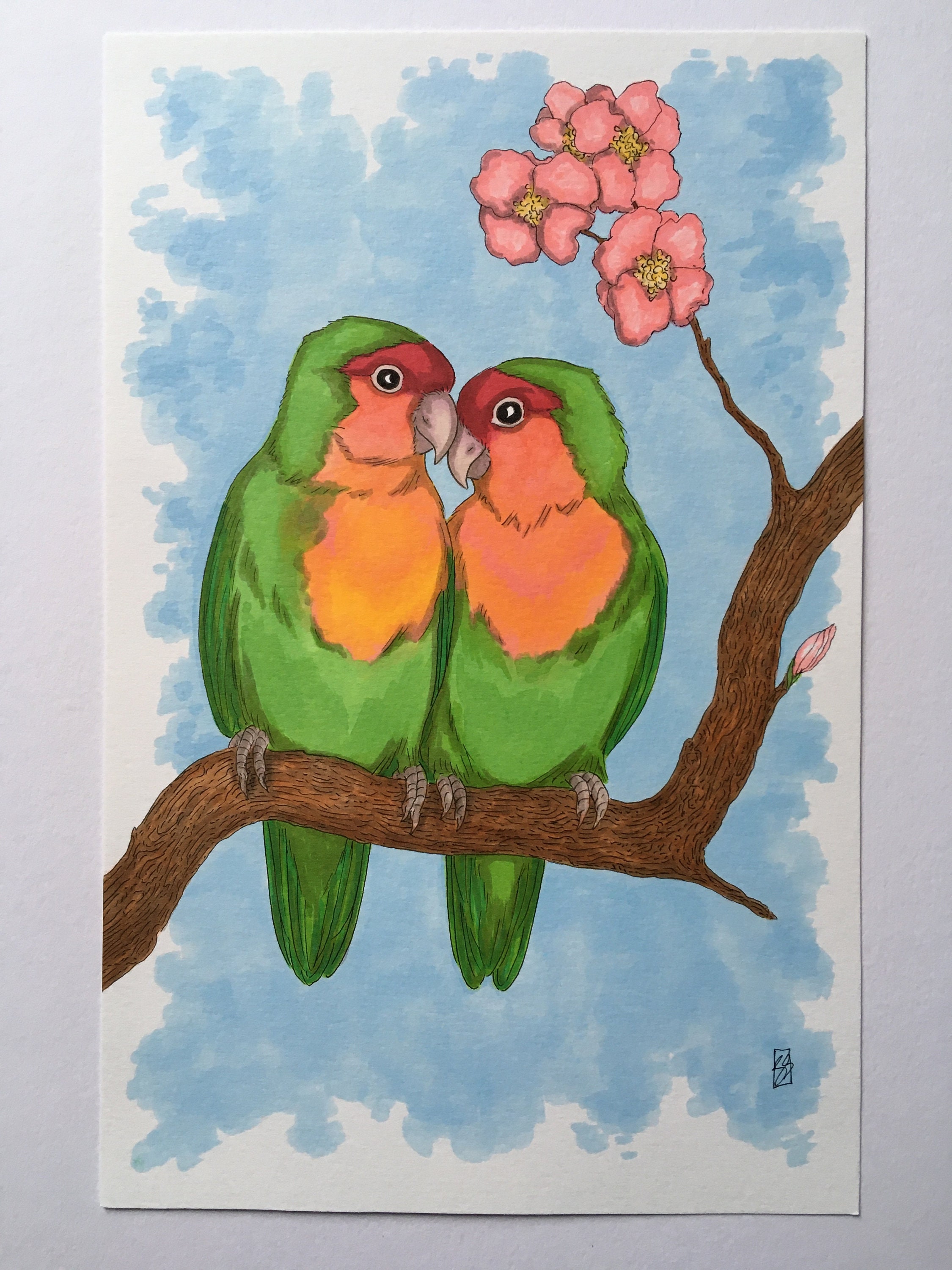 Love Birds Drawing