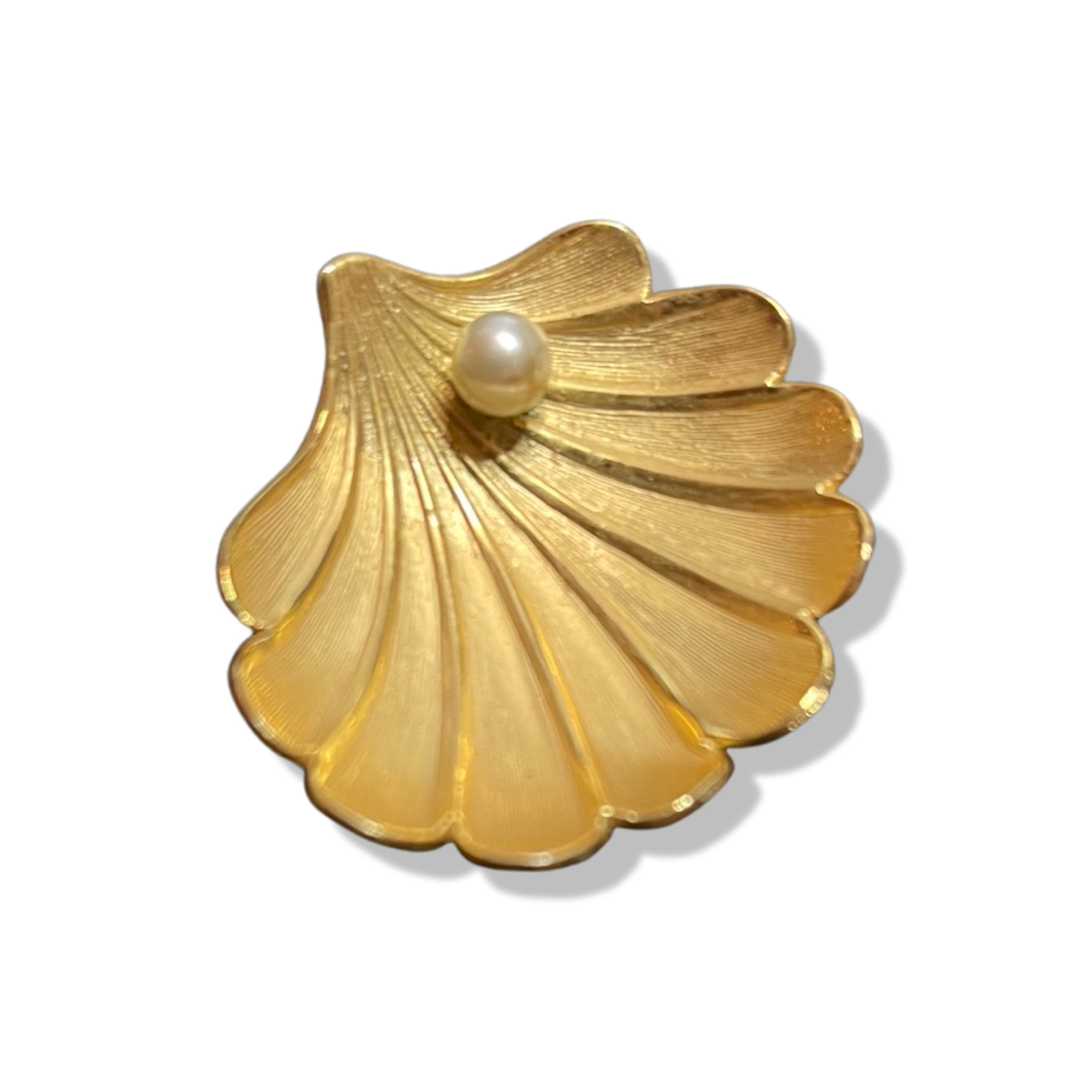 Ceruti Seashell Broochpin Shell Pin Brooch Sea Shell Etsy