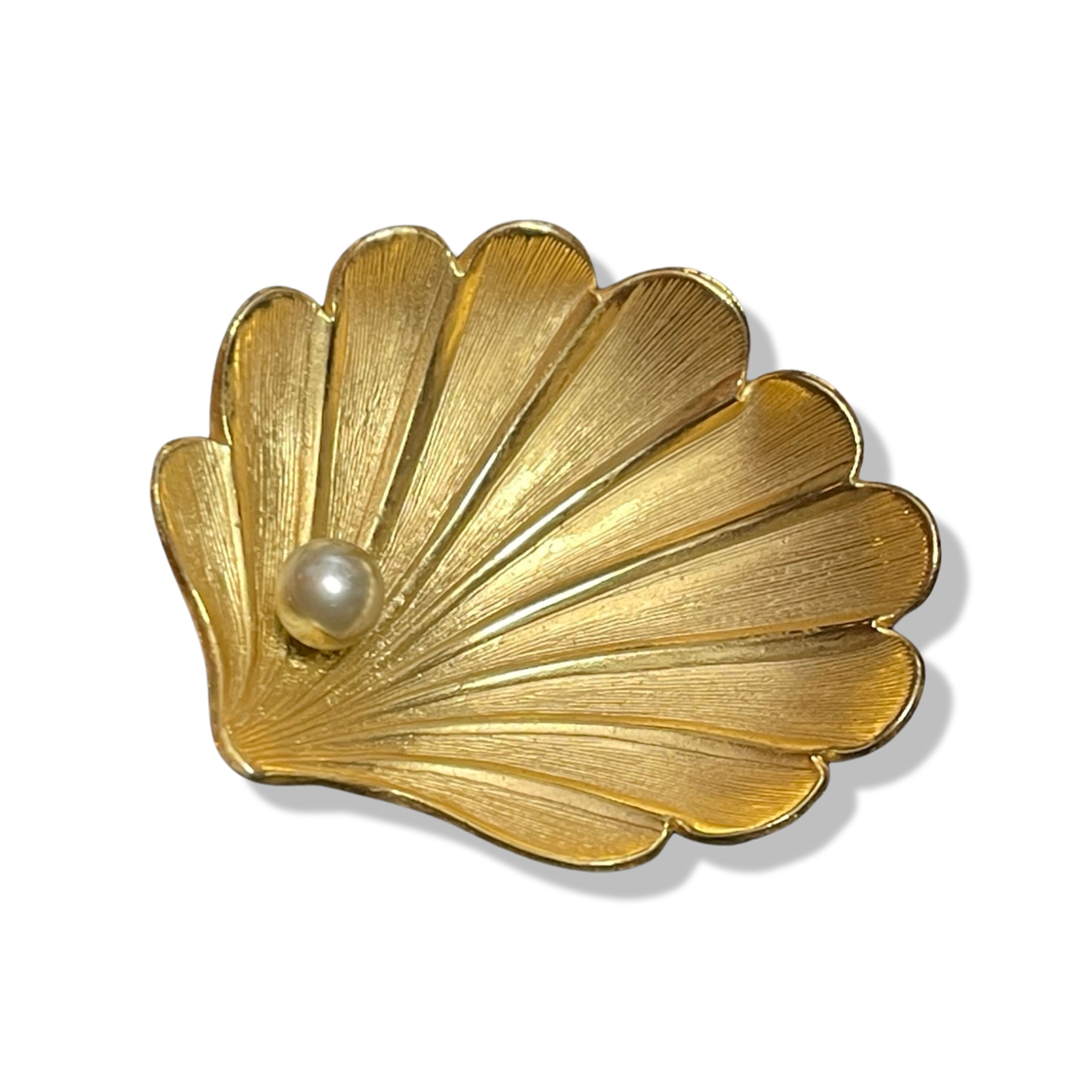 CERUTI Seashell Brooch/pin. Shell Pin Brooch Sea Shell - Etsy