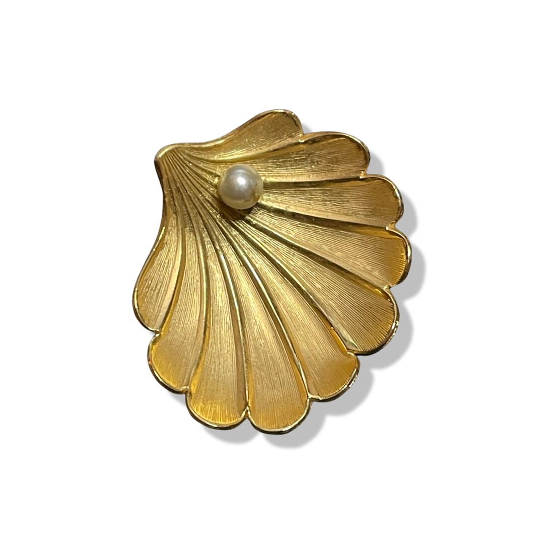 CERUTI Seashell Brooch/pin. Shell Pin Brooch Sea Shell Jewelry Ocean ...