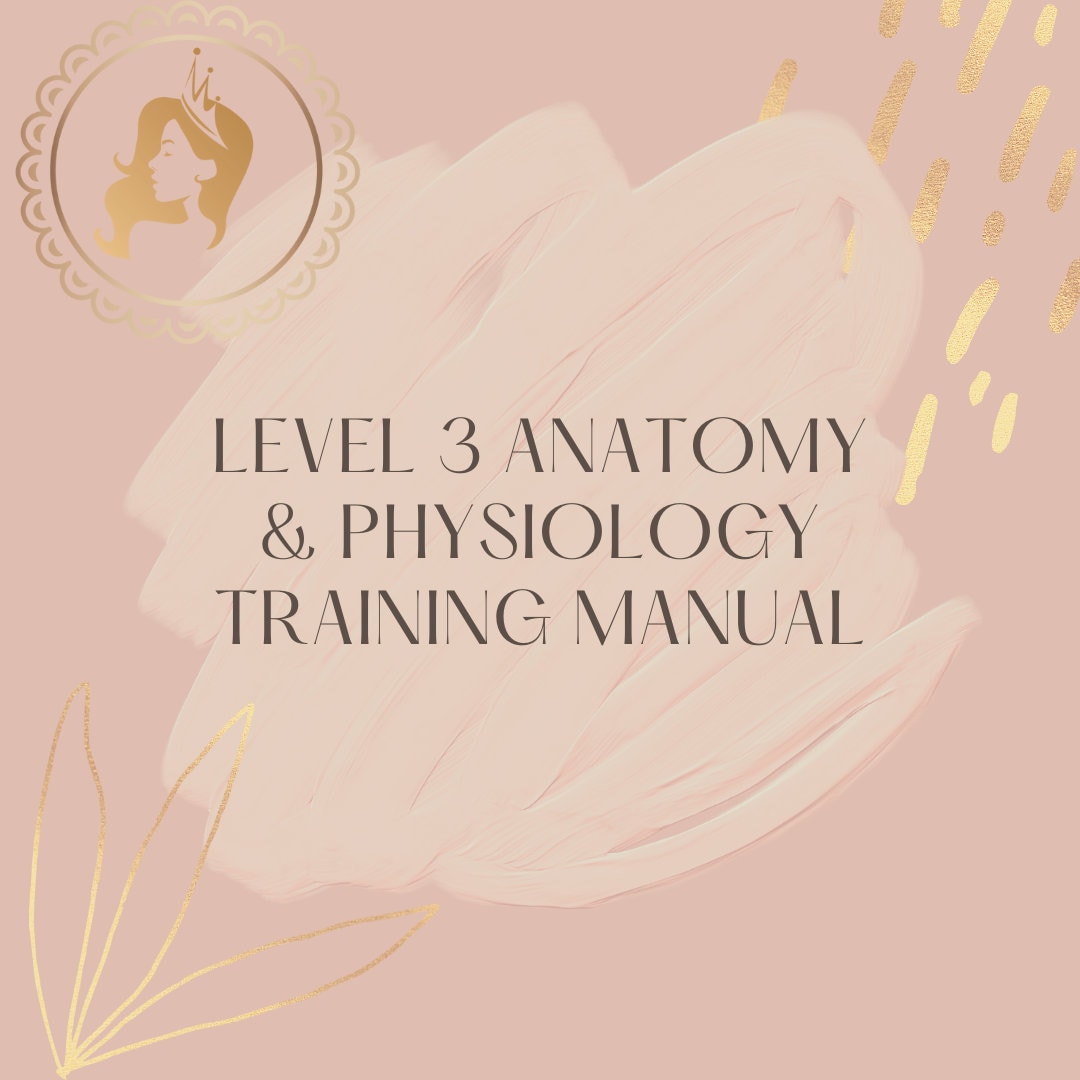 Level 3 Anatomy and Physiology Training Manual - Etsy