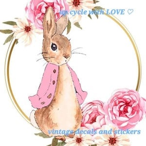 Furniture Transfers Peter Rabbit Dry Rub on Waterslide Vinyl Sticker or ...