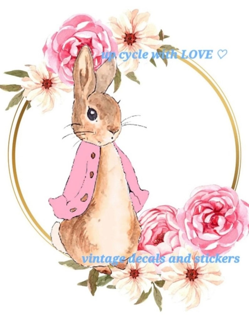 Furniture Transfers Peter Rabbit Dry Rub on Waterslide Vinyl Sticker or ...