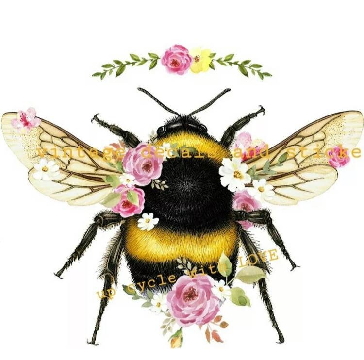 Furniture Transfer Decal Vintage Botanical Bee With Boho - Etsy UK