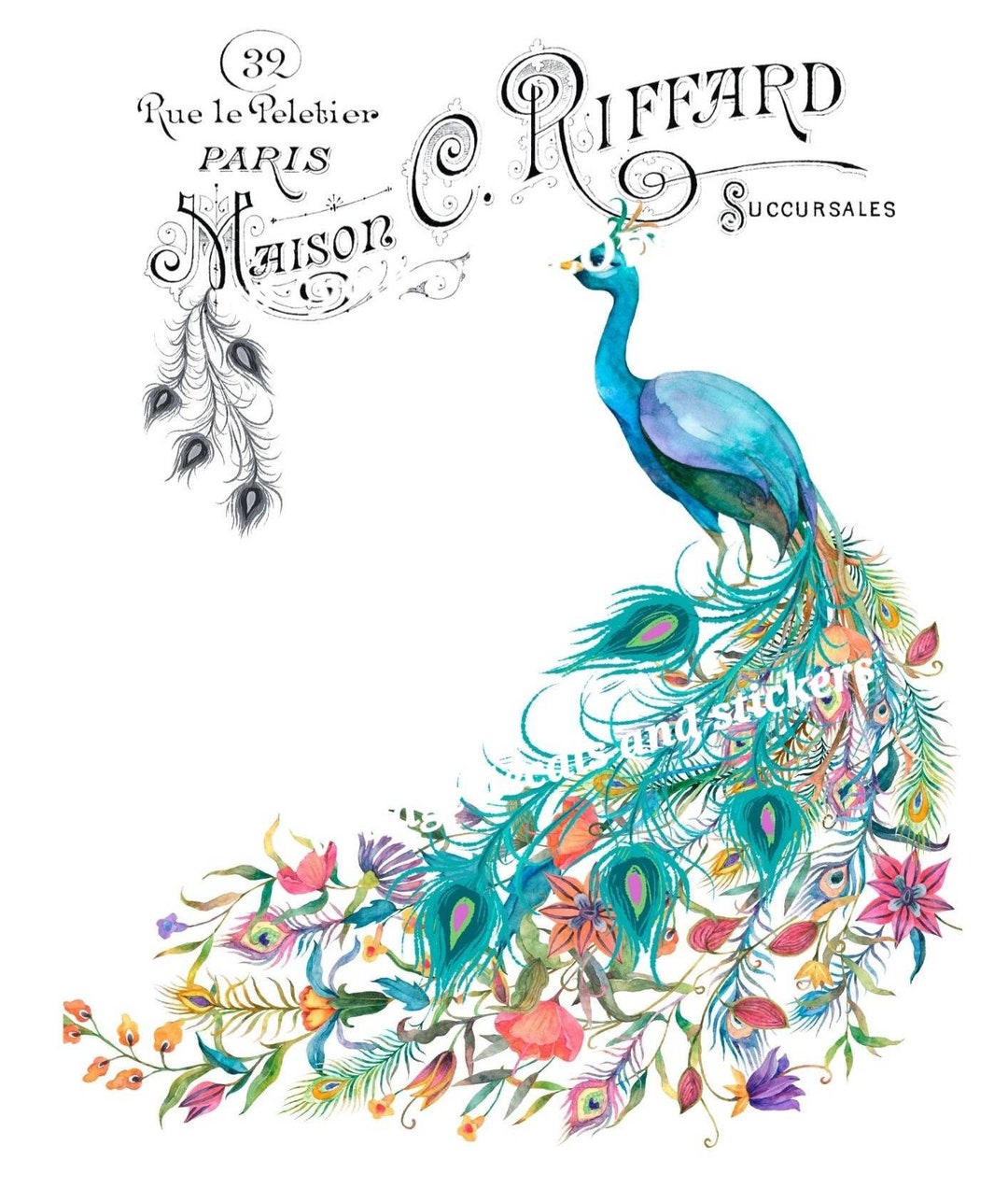 Furniture Transfer Decal French Theme Vintage Peacocks Green /blue Boho ...