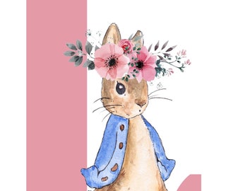 Peter Rabbit Alphabet - Etsy UK